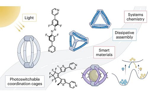 Switchable coordination cages: RESOLV