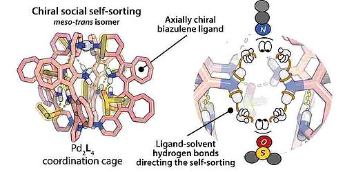 Solvent-controlled chiral self-sorting in coordination cages: RESOLV