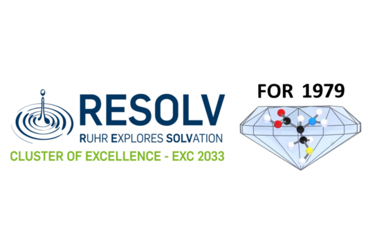 Solvation Science Meets High Pressure Bioscience: RESOLV – 10th IMBP ...