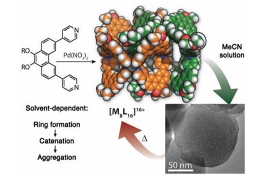 #ASKTHEAUTHOR: How the solvent affects supramolecular structures: RESOLV